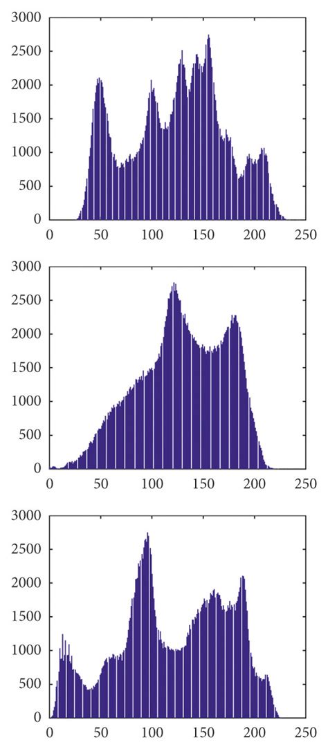 Histogram Test A Plain Images B Histograms Of The Plain Images Download Scientific