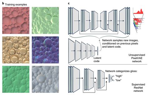 Unsupervised Models Of The Brain Xcorr Ai And Neuro