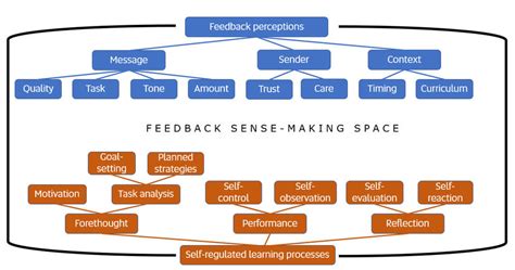 Conceptual Framework For The Examination Of Students Sense Making Of