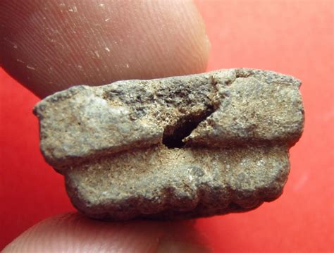 ประมูล หลวงปู่ทวดเก่าๆ พระล้านนา คอม เว็บ พระเครื่อง พระบูชา อันดับหนึ่ง ของภาคเหนือ