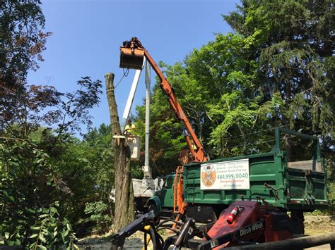 Using A Grapple Truck To Take Down A Tree Mr Tree