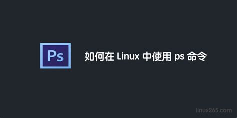 如何在 Linux 中使用 Ps 命令 Linux资讯 如何在 Linux 中使用 Ps 命令 Linux资讯