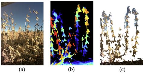 Figure 2 From A Novel Approach To Pod Count Estimation Using A Depth