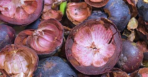 Feed Pellets For Dairy Cows Using Mangosteen Peels And Neem Leaves To