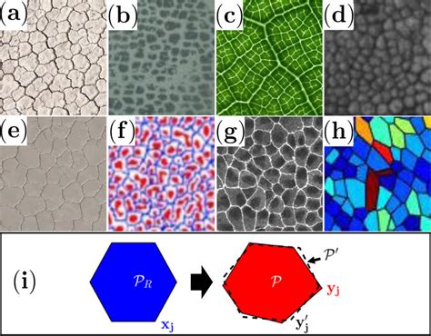 A H Examples Of Randomized Polygonal Networks A Land Cracks Due Download Scientific