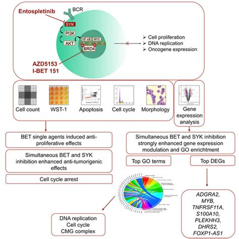 Cancers Free Full Text Evaluation Of The Synergistic Potential Of Simultaneous Pan Or