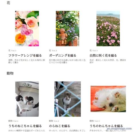 Web上でHTMLCSSJavaScriptをリアルタイムで確認実行できるWebサービス Playground PCあれこれ探索