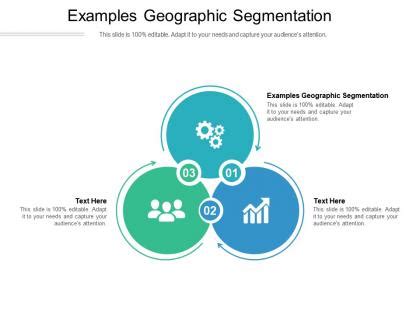 Examples Geographic Segmentation PowerPoint Presentation And Slides PPT Slide SlideTeam