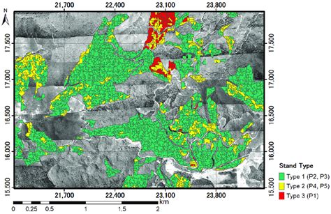 Forest Type Map By Segmentation Of Dchm 2011 Using The Ward Method Download Scientific Diagram