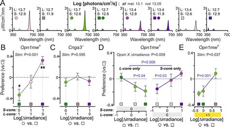 Cone Opponent Colour Signals Modulate Light Avoidance Behaviour In Download Scientific Diagram