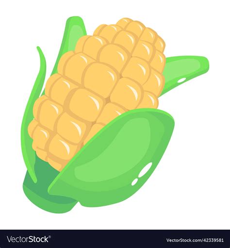 Corn Royalty Free Vector Image Vectorstock