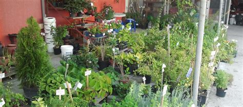 Добрич Строй ООД Търговия със строителни материали Добрич