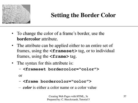 New Perspectives On Creating Web Pages With Html Ppt Download