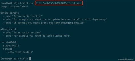 在gitlab中指定自定义 ci cd 配置文件 gitlab配置cicd csdn博客