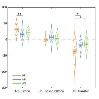 Behavioral Results Performance Gains In Percentages On The Motor Download Scientific Diagram