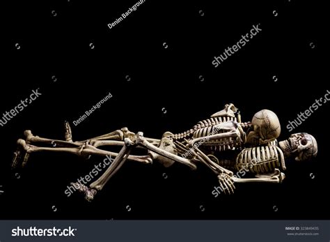 Halloween Sexskeletons Having Sex On Black Stock Photo Edit Now