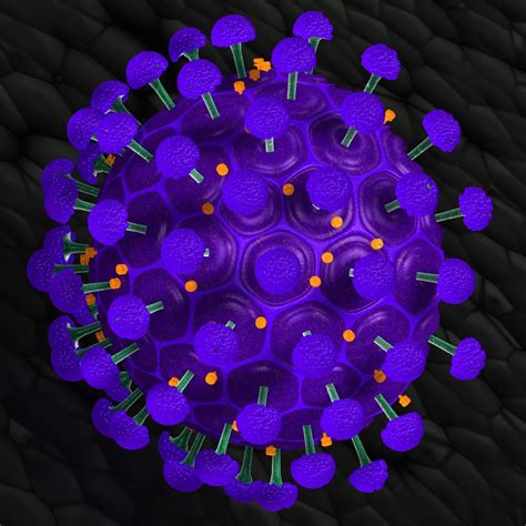 3d Model Virus Structure