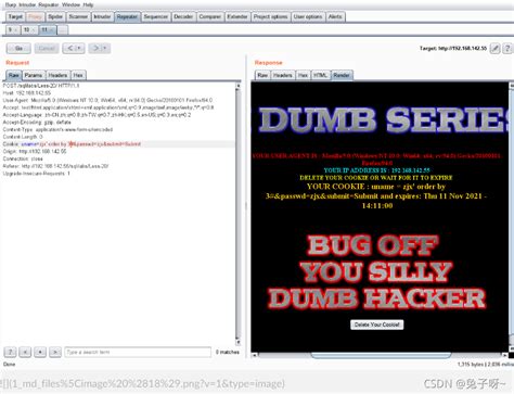 sql注入类型之cookie注入 cookieshaopsql文件 csdn博客