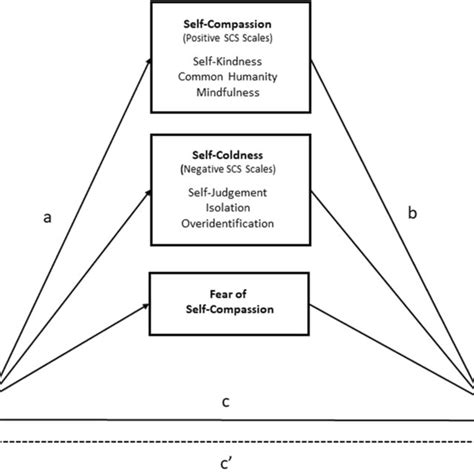 Overarching Model To Test Indirect Effects Of Self Compassion Facets Download Scientific
