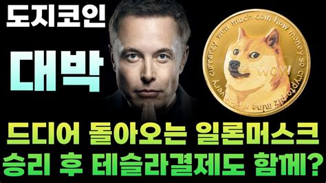 도지코인 🔔 드디어 돌아온 일론머스크 소송 승리이후 테슬라결제도 함께라는 충격적인 소식 들고 왔습니다 Youtube
