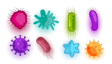 Kingdom Monera — Biology Notes