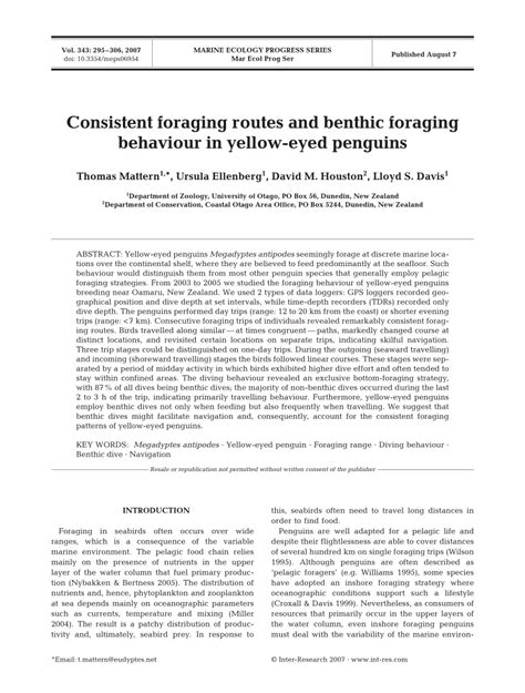 Pdf Consistent Foraging Routes And Benthic Foraging Behaviour In Yellow Eyed Penguins