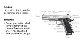 Parts Of Gun In Forensic Medicine And Toxicologypptx