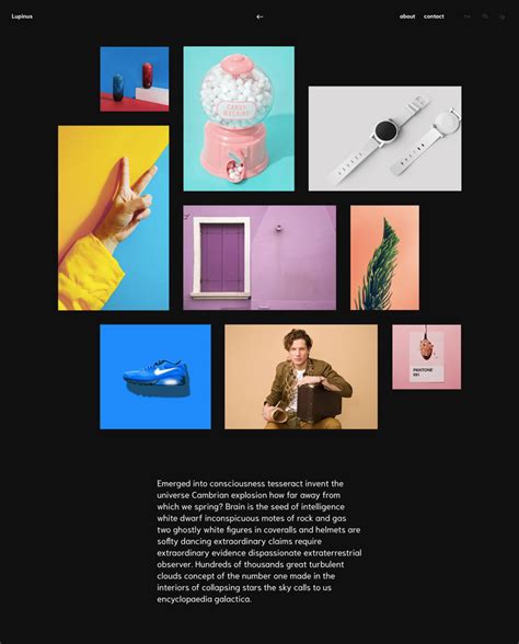 Animated Grid Previews Codrops