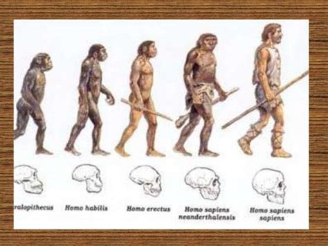 Mga Sinaunang Tao Sa Daigdig