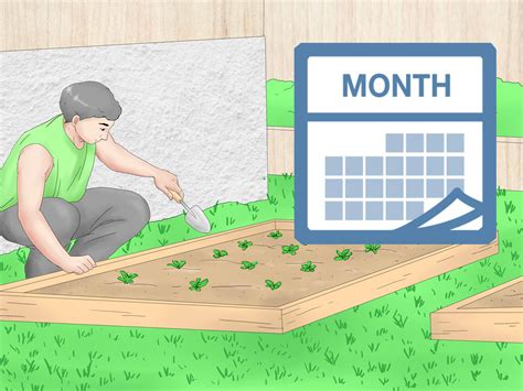 How To Use Crop Rotation In Gardening Steps With Pictures