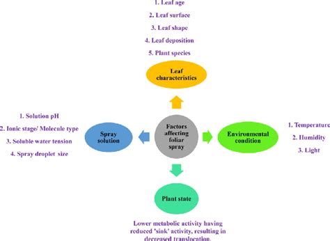Factors Affecting Foliar Application Download Scientific Diagram