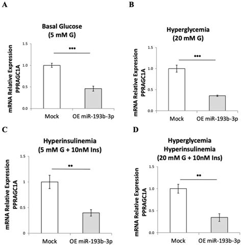 Pmirglo Dual Luciferase Mirna Target Expression Vector Promega Bioz