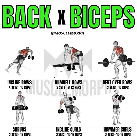 Musclemorph Back And Biceps Workout By Musclemorph