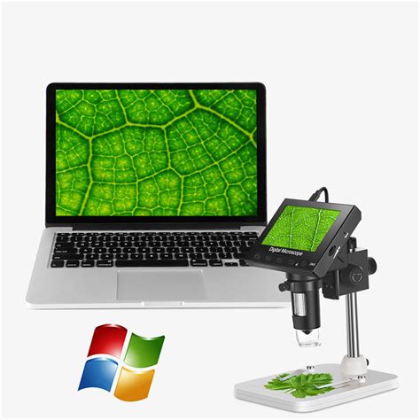 Driver Digital Microscope Electronic Magnifier 1000x At Saul Carroll Blog