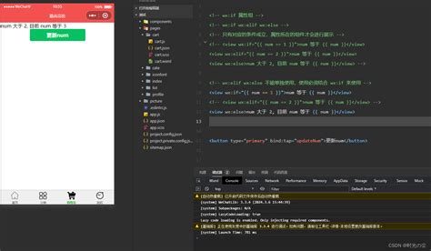 微信小程序开发系列（二十五）·wxml语法·条件渲染wxif Wxelif Wxelse 属性组以及hidden 属性的使用wx