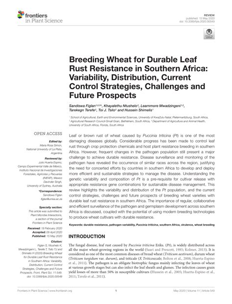 Pdf Breeding Wheat For Durable Leaf Rust Resistance In Southern