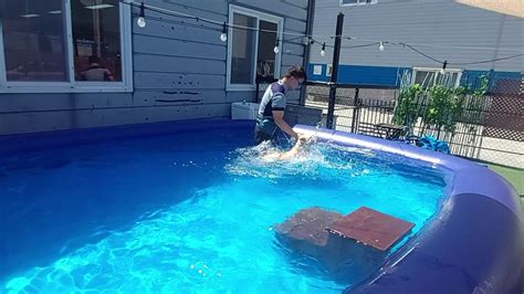 5년 8개월 만에 태어나서 처음으로 공장 개장을 떠나 애견 카페에 놀러 간 공장 진돗개 백구 L 공장개 생애 첫 애견 카페 나들이 L 1000평 애견 카페 혼자 전세내고