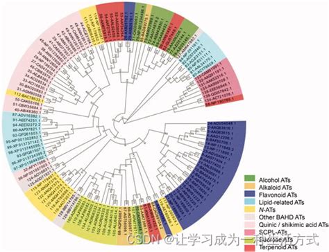 酰基转移酶综述 21年 地表最强系列 文献精读 3 Bahd酰基转移酶 Csdn博客