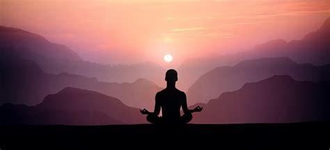 What Does It Mean To Fix Your Terrain Holistica Integrative Care