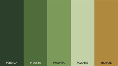 Dollar Bill Color Palette Ideas 20 Picks Hex