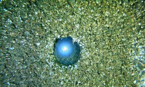 Freighter Ss James Carruthers Found In Lake Huron After 100 Years