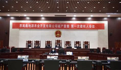 优化营商环境丨建始法院首起破产重整案件第一次债权人会议顺利召开澎湃号·政务澎湃新闻 The Paper