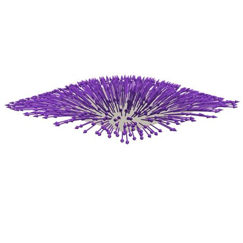 Discrete Solutions For Problems 1 2 A And 2 B Download Scientific Diagram