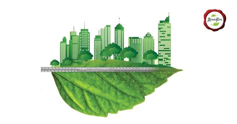 Pcc Vs Rcc Key Differences In Construction Explained