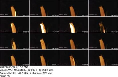 Forumophilia PORN FORUM Only Actual Observation Of Their Wives Girlfriends Mistres Page 540