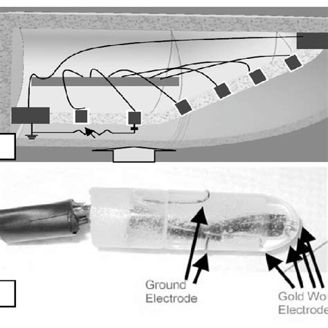 A Biomimetic Sensor B Sensor Core Skin Removed 5 Download Scientific Diagram