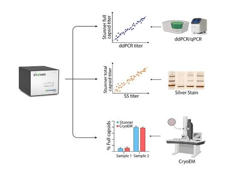 Evaluation Of A Rapid Multi Attribute Combinatorial High Throughput Uv Visdlssls Analytical