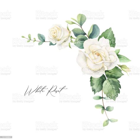 녹색 유칼립투스 잎과 흰색 장미와 수채화 벡터 손으로 그린 프레임 카드 결혼식 초대장 포스터 흰색 배경에 고립 된 날짜 또는 인사말 디자인을 저장하는 그림 흰색에 대한 스톡