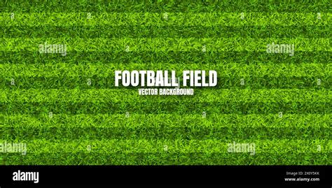 Soccer Playing Field With Green Grass Football Pitch Background With