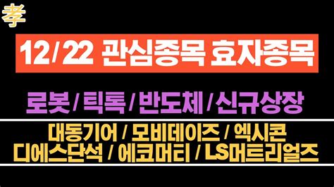 로봇틱톡반도체신규상장 상위 1의 1222 관심종목 지금 장세에 수익 안 나시는 분들은 이 영상 참고하세요 조만간